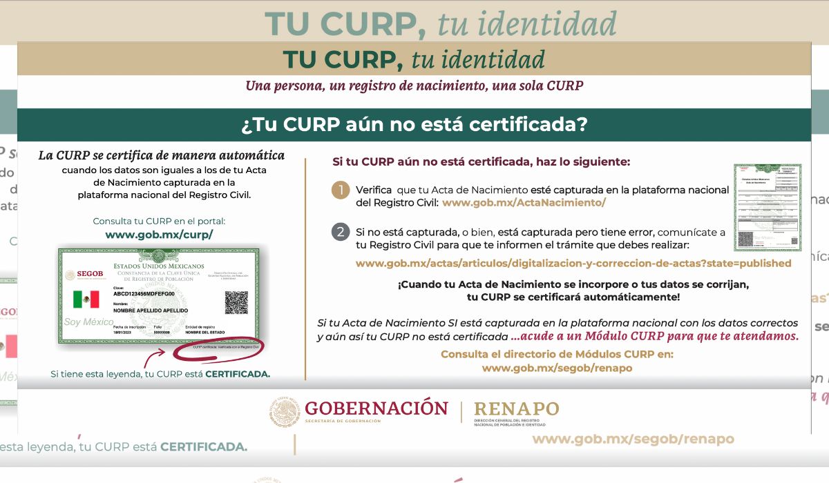 Tramitar Curp Por Primera Vez De Un Bebé Guía Completa Para Cancún